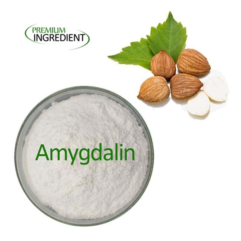 Buy Amygdalin powder extracted from Bitter Apricot Seed food grade from ...