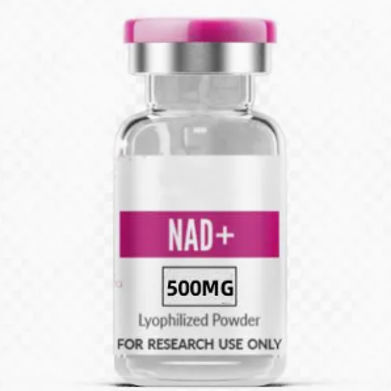 Buy High Purity NAD Nicotinamide Adenine Dinucleotide 99% NAD Powder Vials Peptide Powder 100mg ...