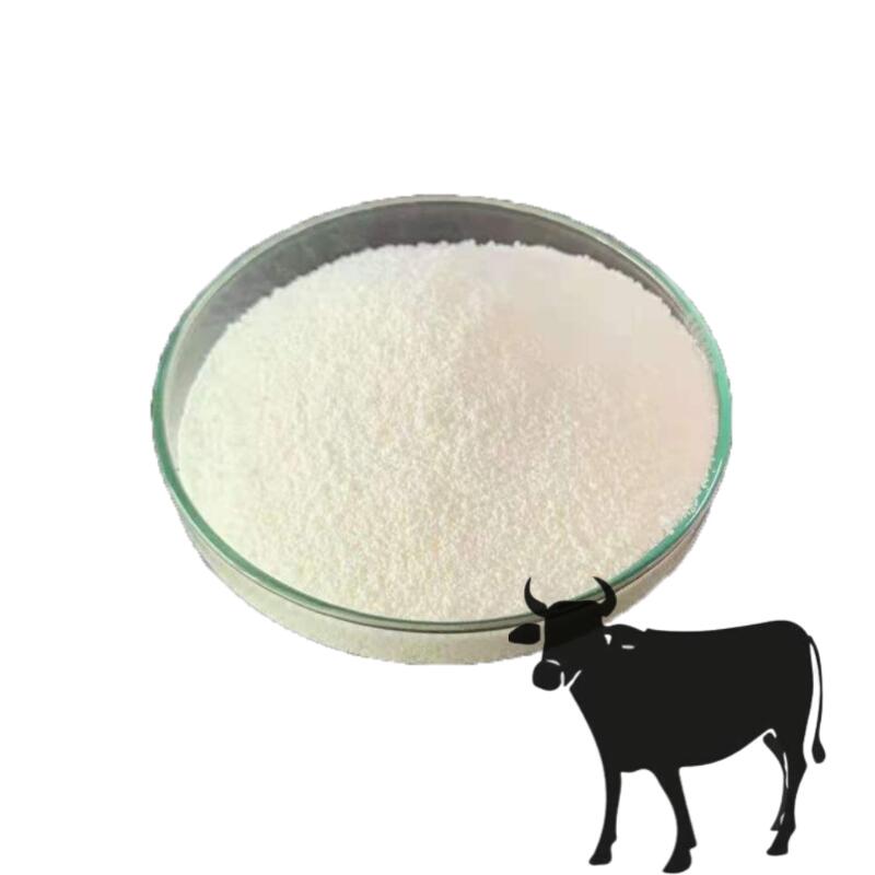 Buy Premium Bovine Collagen Peptide Powder CAS 9064-67-9 | White to ...