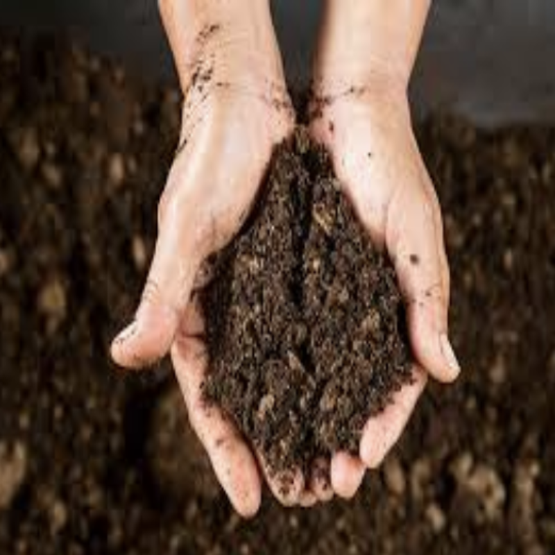 Buy Brown Compost Fertilizer Organic Carbon-Rich Soil Enhancer for ...