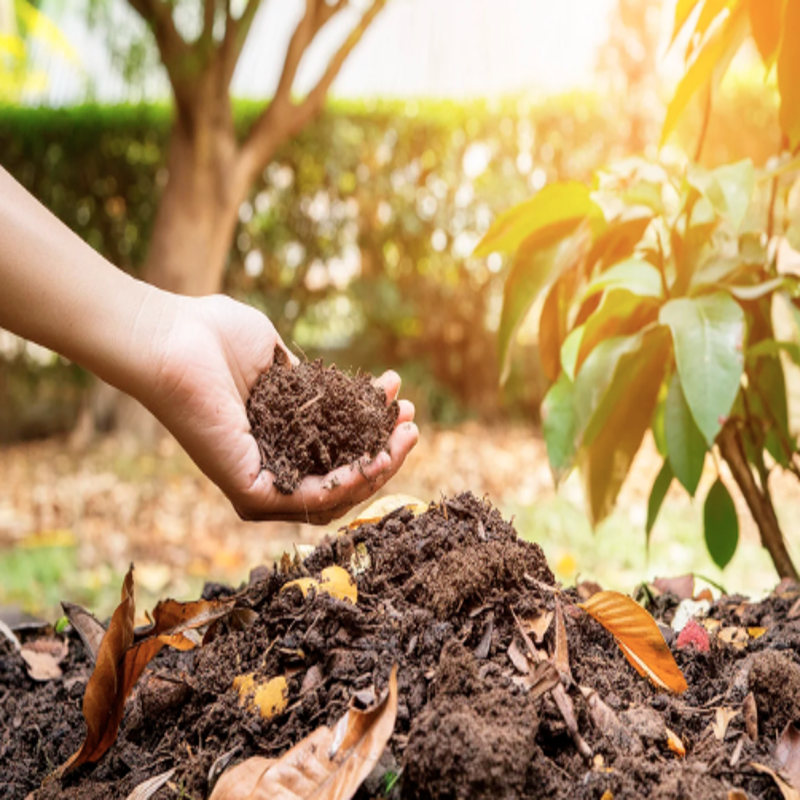 Buy Manure-Based Compost Fertilizer Natural Organic Fertilizer Enriched ...