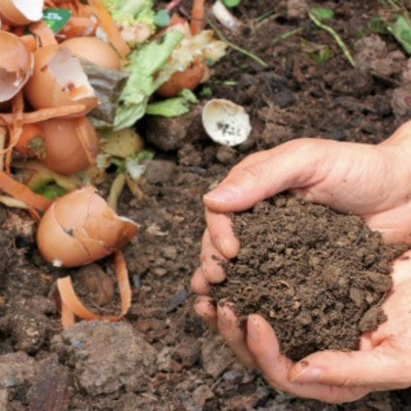 Buy Municipal Solid Waste Compost Fertilizer Agricultural Grade from ...