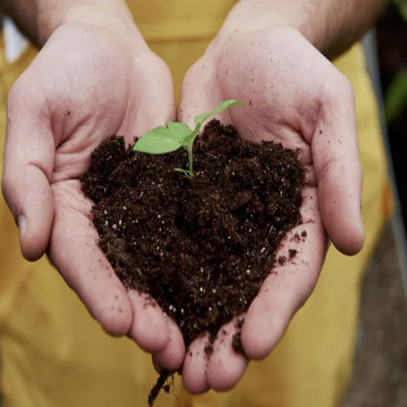 Buy Mushroom Compost Premium Organic Soil Conditioner and Fertilizer ...