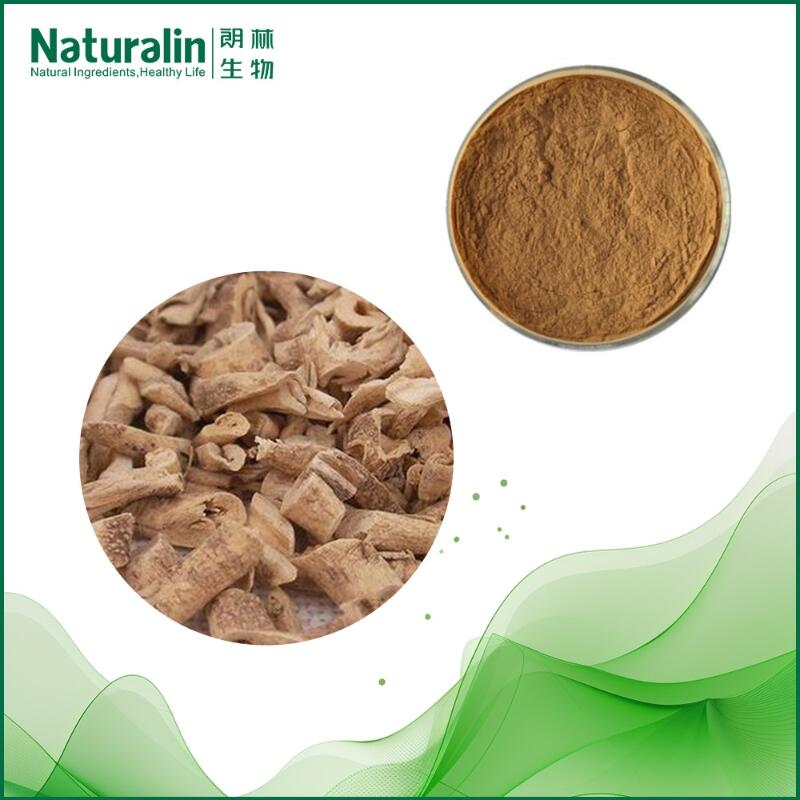 Buy Cortex Dictamni Extract National Grade from Naturalin Bio-Resources ...