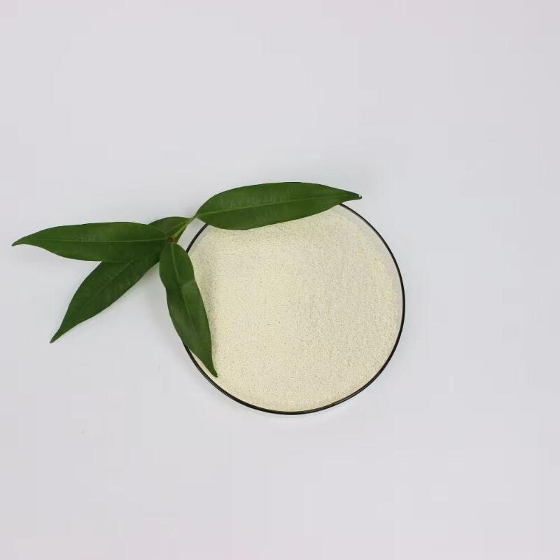 Buy Food Additive Food Grade Pharmaceutical Grade Ferrous Lactate with ...