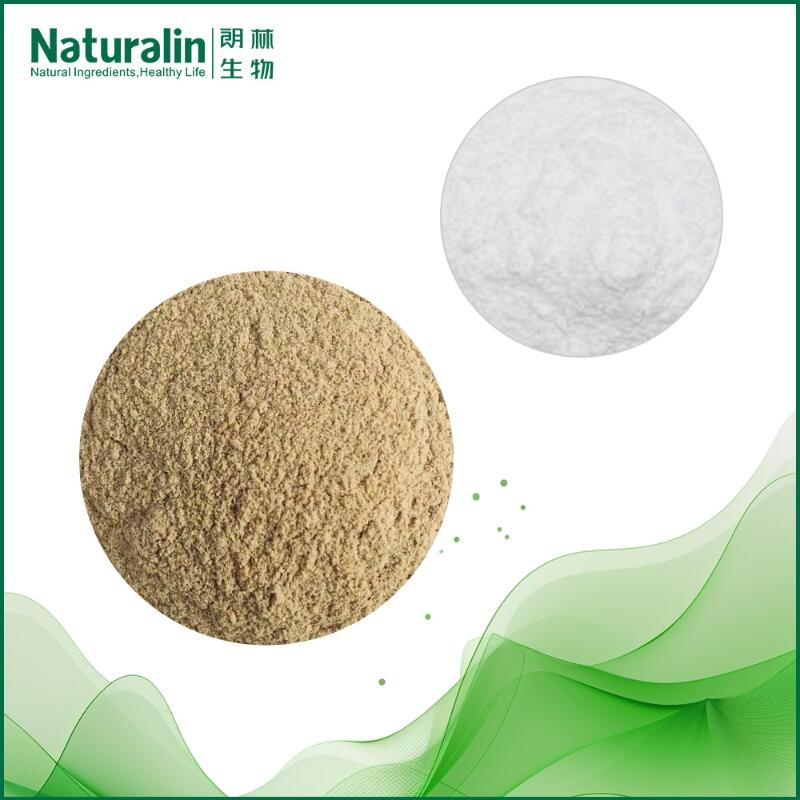 Buy Rice Bran Extract National Grade from Naturalin Bio-Resources Co ...