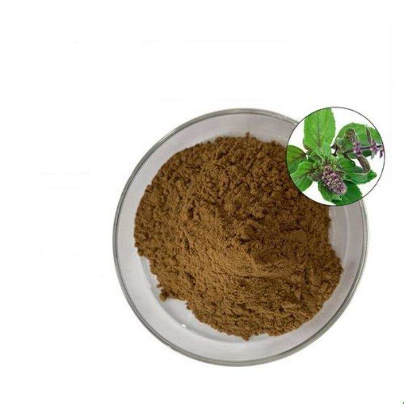 Buy Holy Basil Extract Ratio 4:1/10:1/20:1 multi-specification powder ...