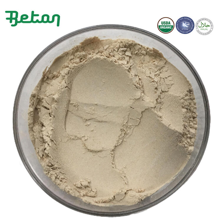 Buy white kidney bean powder from Beton Nutrition Corporation - ECHEMI