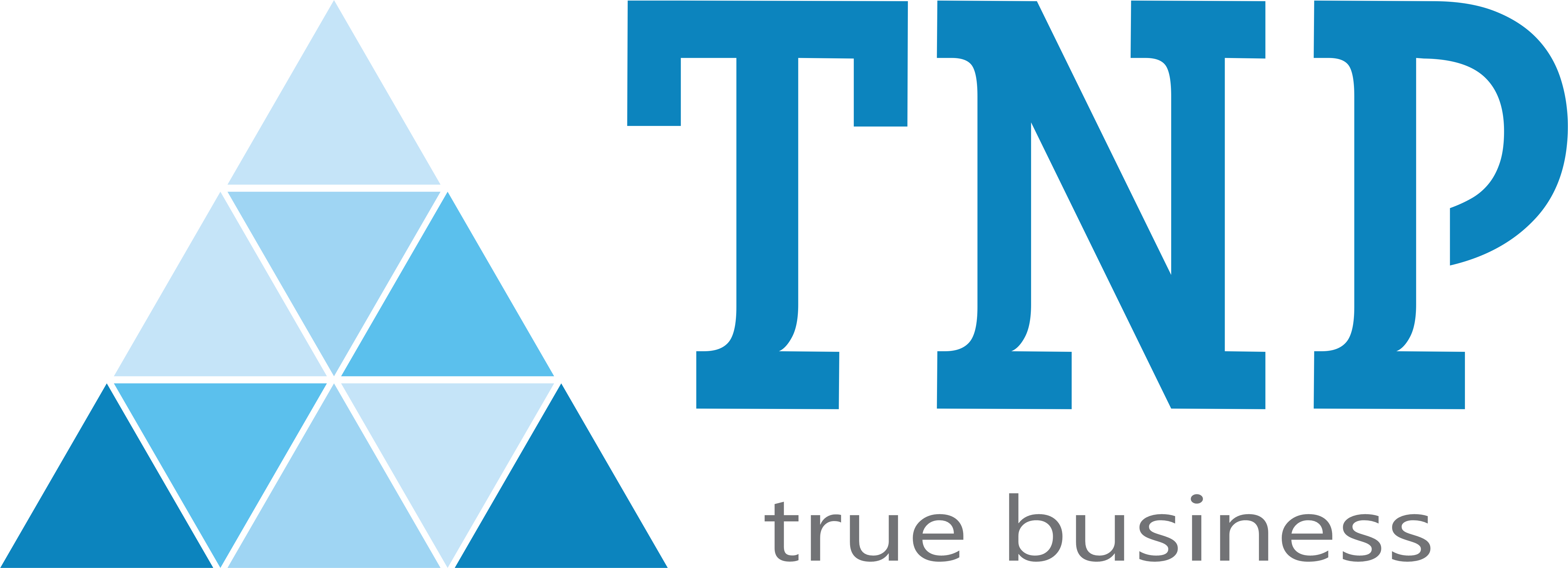 TNP VIETNAM INVESTMENT COMPANY - Chemical Trader on ECHEMI