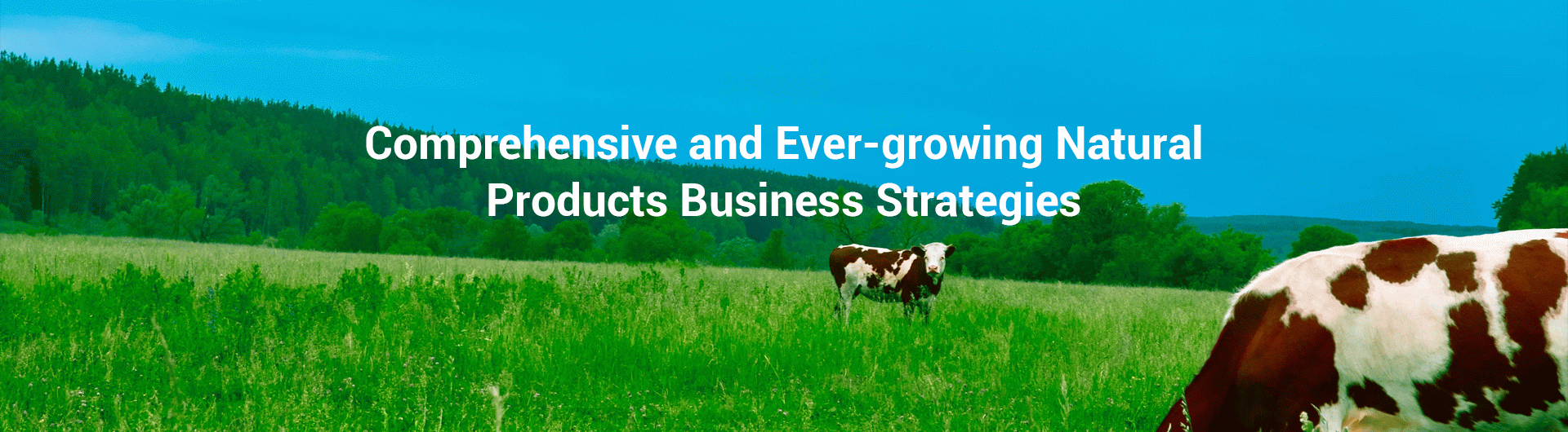 HUADONG PHARMA - Chemical Manufactory on ECHEMI