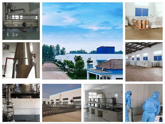 Buy Food Grade CaCO3 Heavy Light Precipitated Calcium Carbonate Powder ...