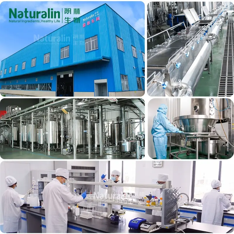 Buy Semen Ricini Extract National Grade from Naturalin Bio-Resources Co ...