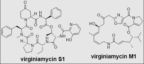 Buy API Pristinamycin Feed Grade from Hangzhou Hyper Chemicals Limited ...